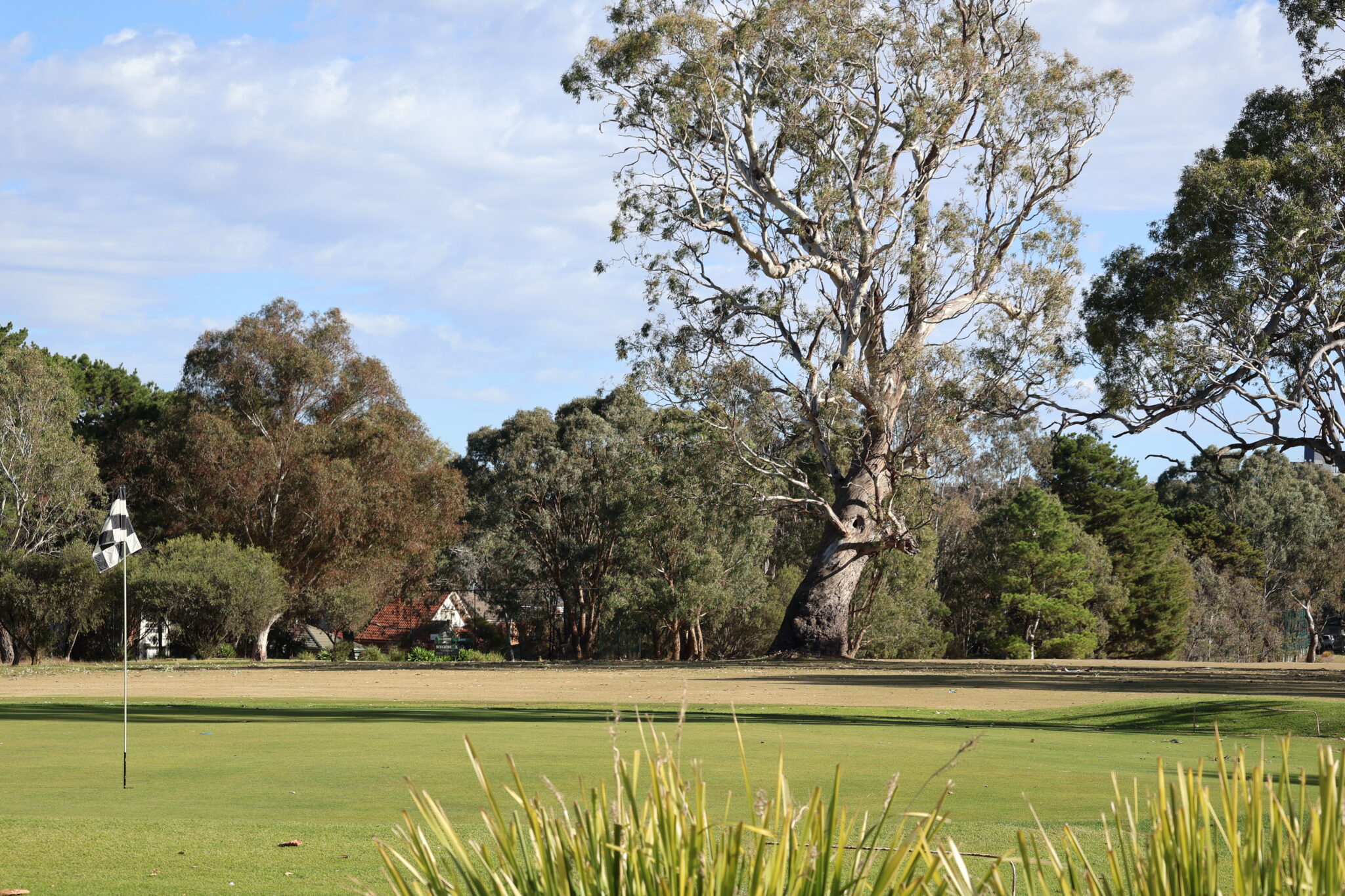 Strathallan Golf Club Bundoora | Golf Course Melbourne North
